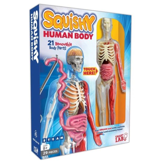 Kindness and Joy Toys | Squishy Human Body